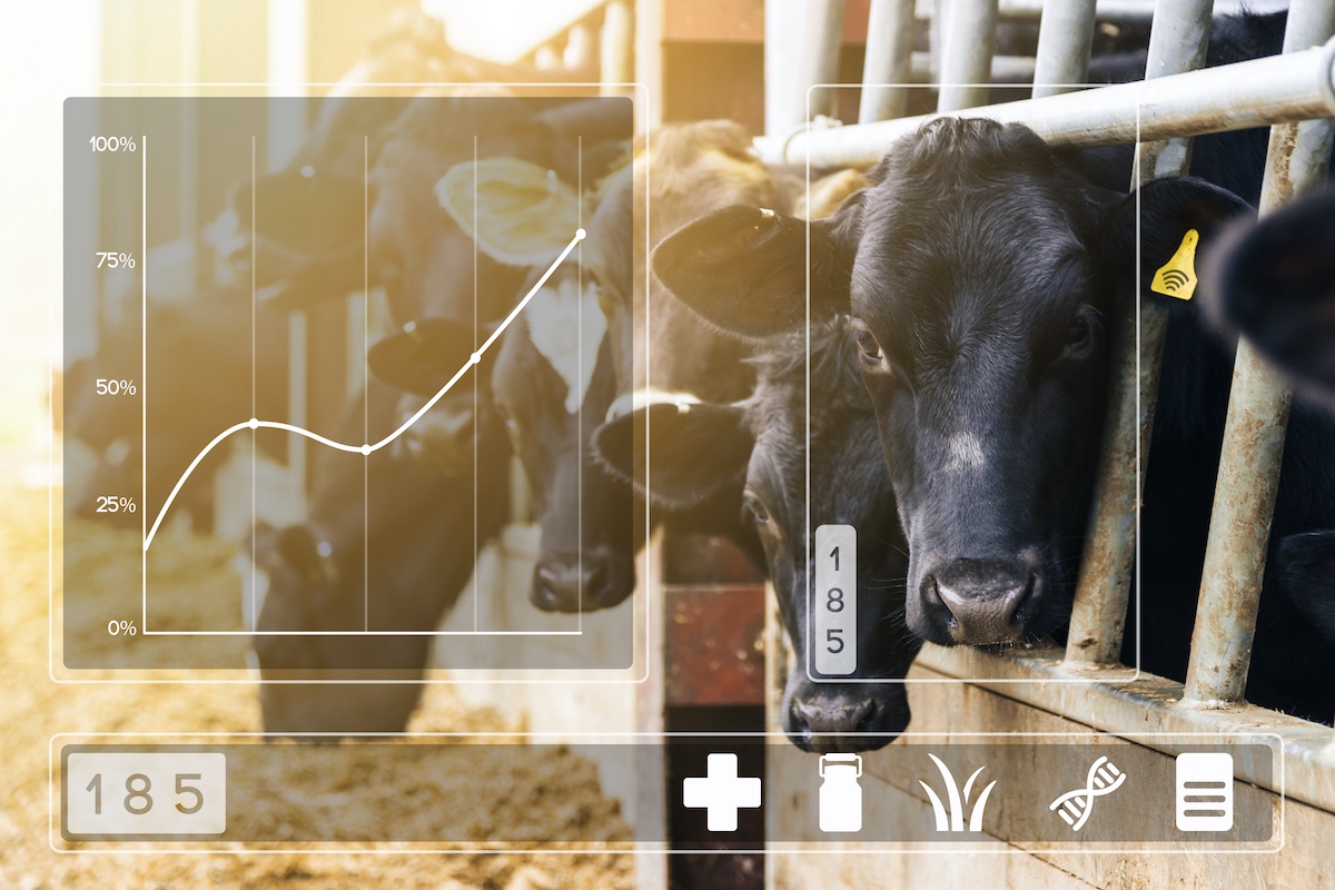 Home - Animal Traceability Solutions